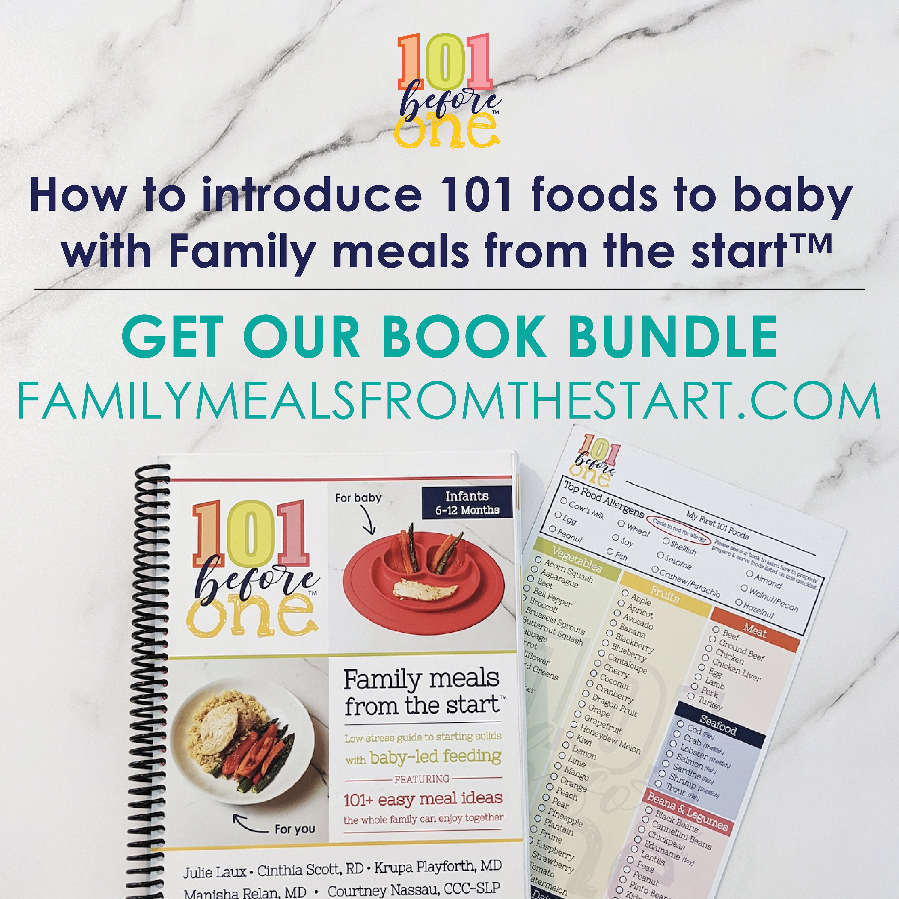 101 Food Checklist PDF Download for Baby Led Weaning From 101 - Etsy