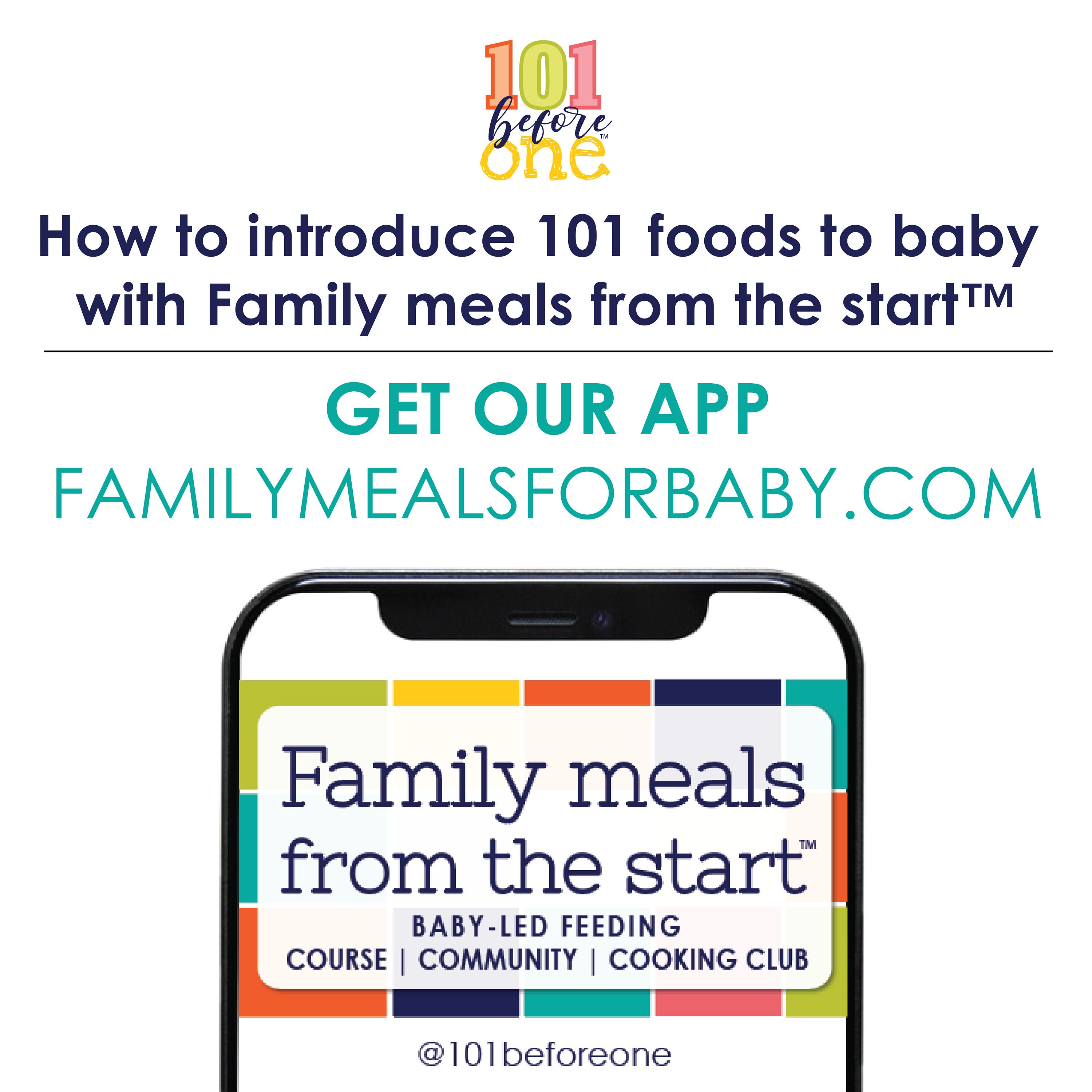 101 Food Checklist PDF Download for Baby Led Weaning From 101 - Etsy
