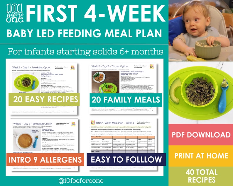 Baby-led Weaning First 4-week Meal Plan (PDF Digital Download) - Etsy