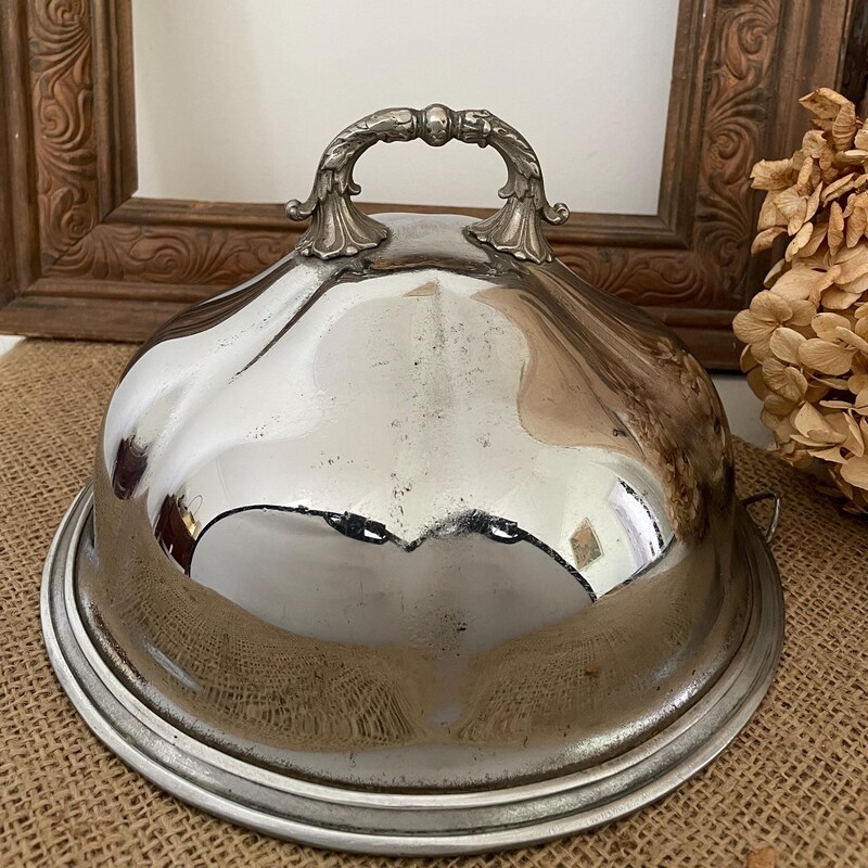 Plate and Cloche - Etsy