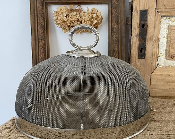 Antique Silver & Mesh Food Cloche / Meat Dome (large Oval Dish Cover ...