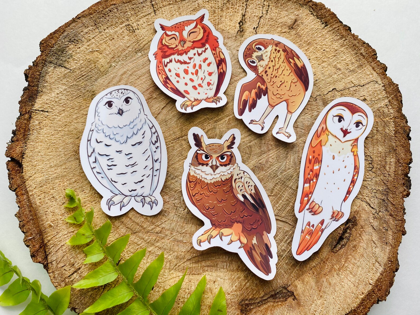 Set of 3 Sticker Pack Bundle Cute Animal Sticker Pack Bundle | Etsy