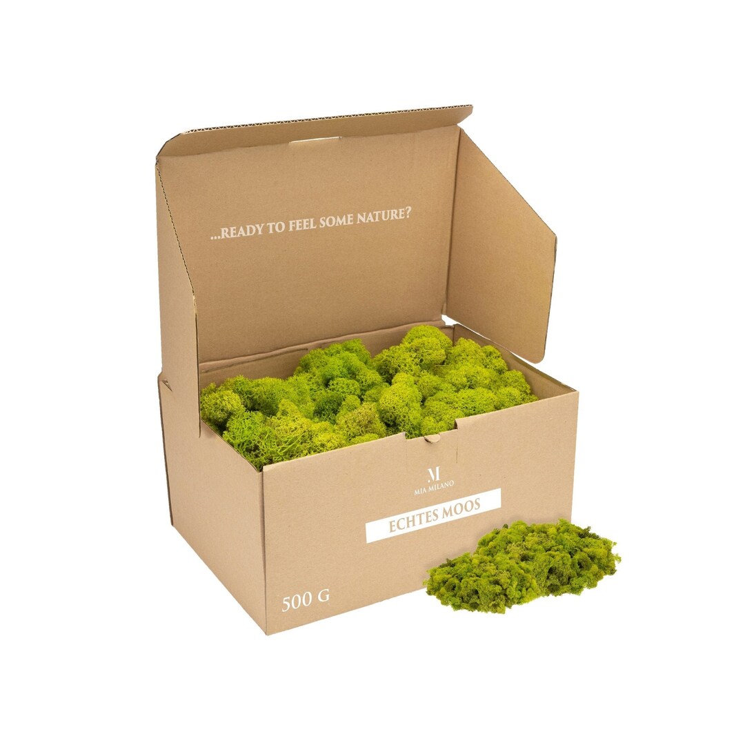 Mia Milano Moos Deko echt I 500g konserviertes Dekomoos zum Basteln I ...