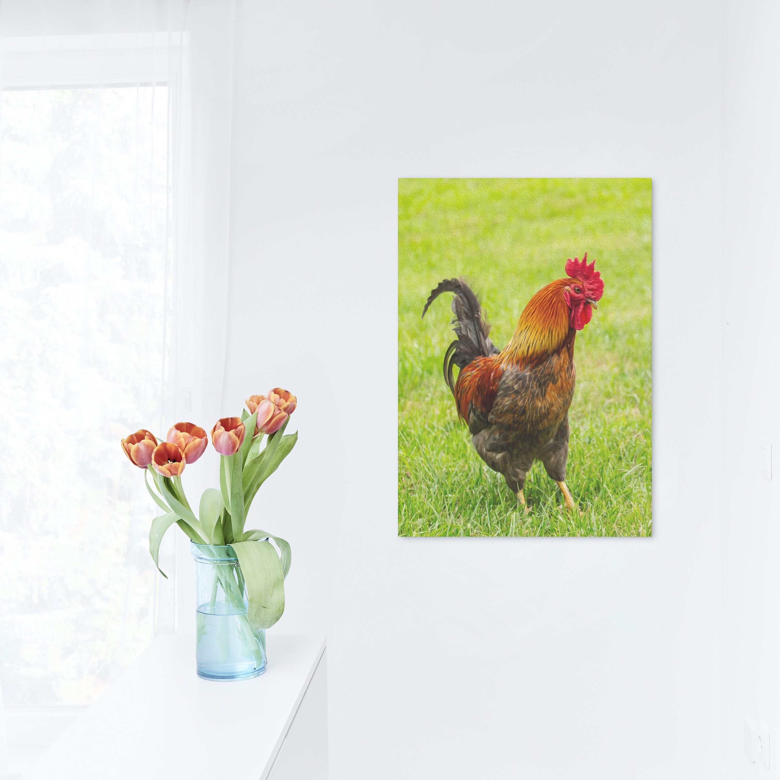 Original Photography of Rooster Running Free in Summer Green Grass - Etsy