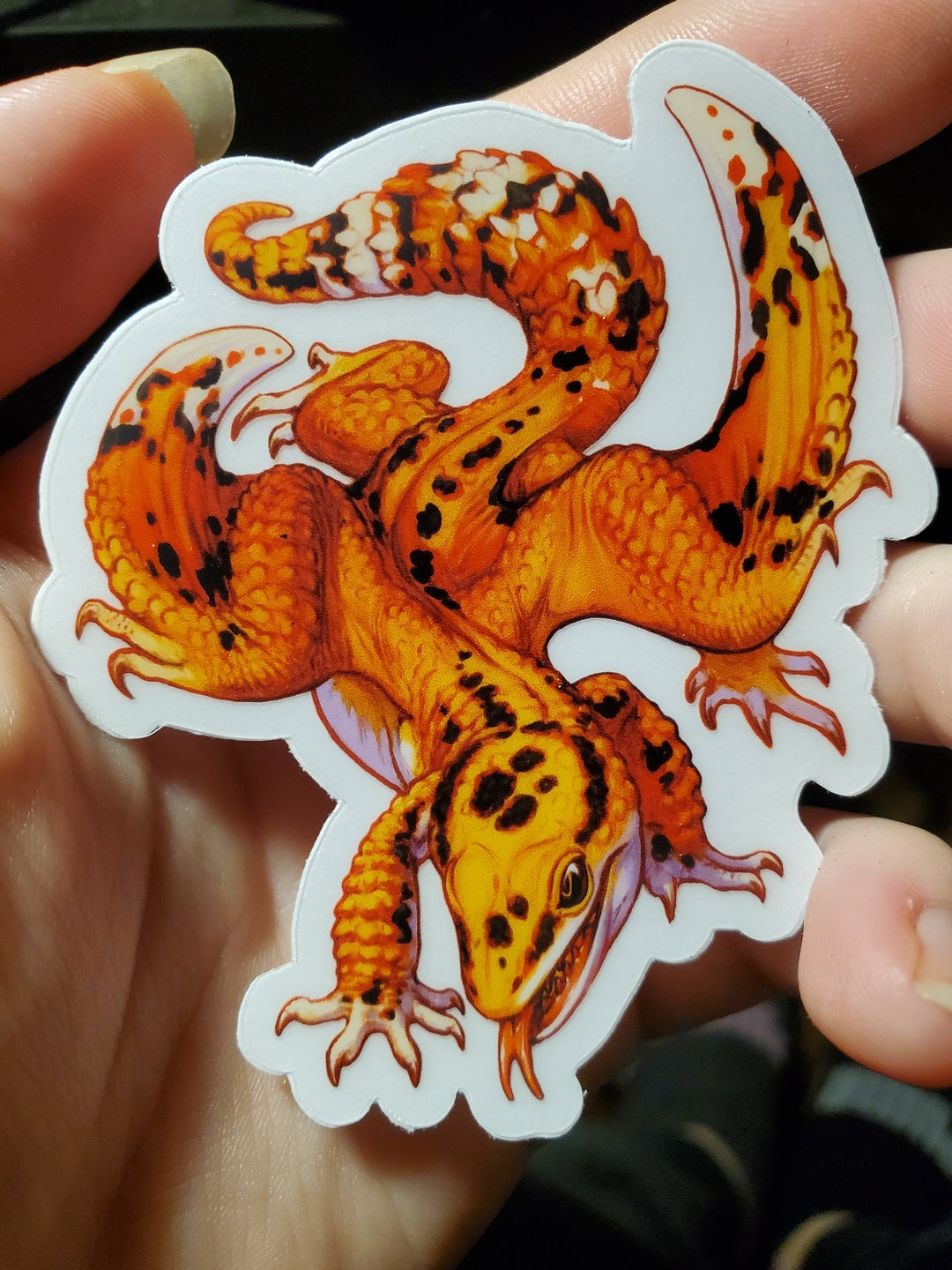 Transparent Leopard Dreco Sticker - Etsy