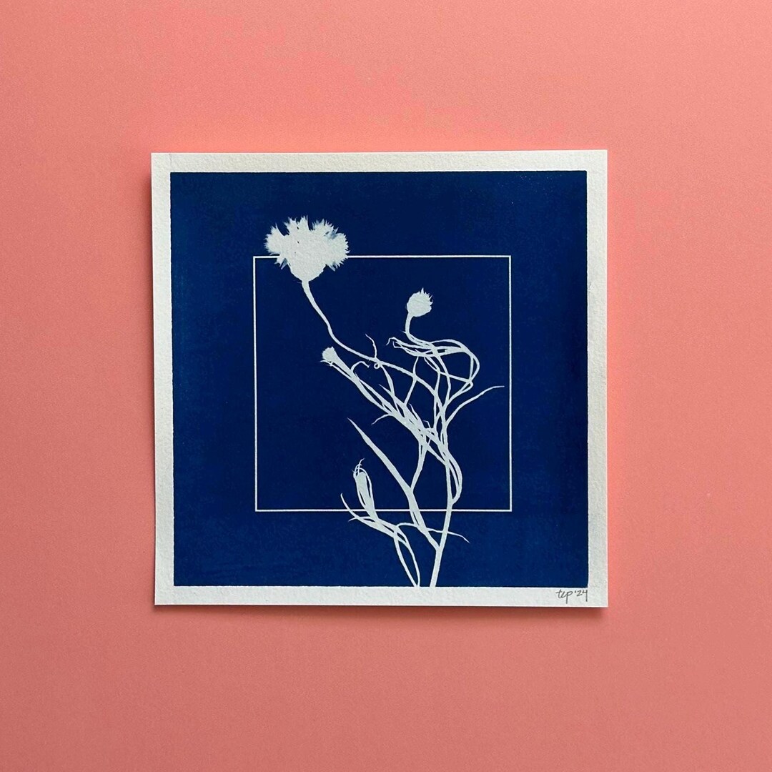 Framed Cornflower | 7x7" Cyanotype Print | One of a Kind - Etsy