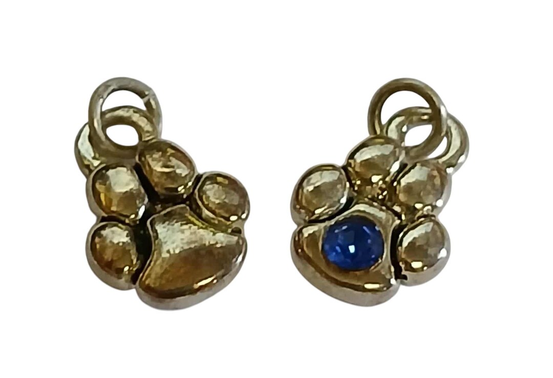 Dog Paw Blue Crystal Charms for Crafts - Etsy