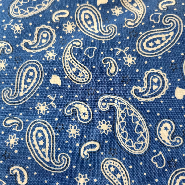 Navy Blue Paisley Fabric - Etsy
