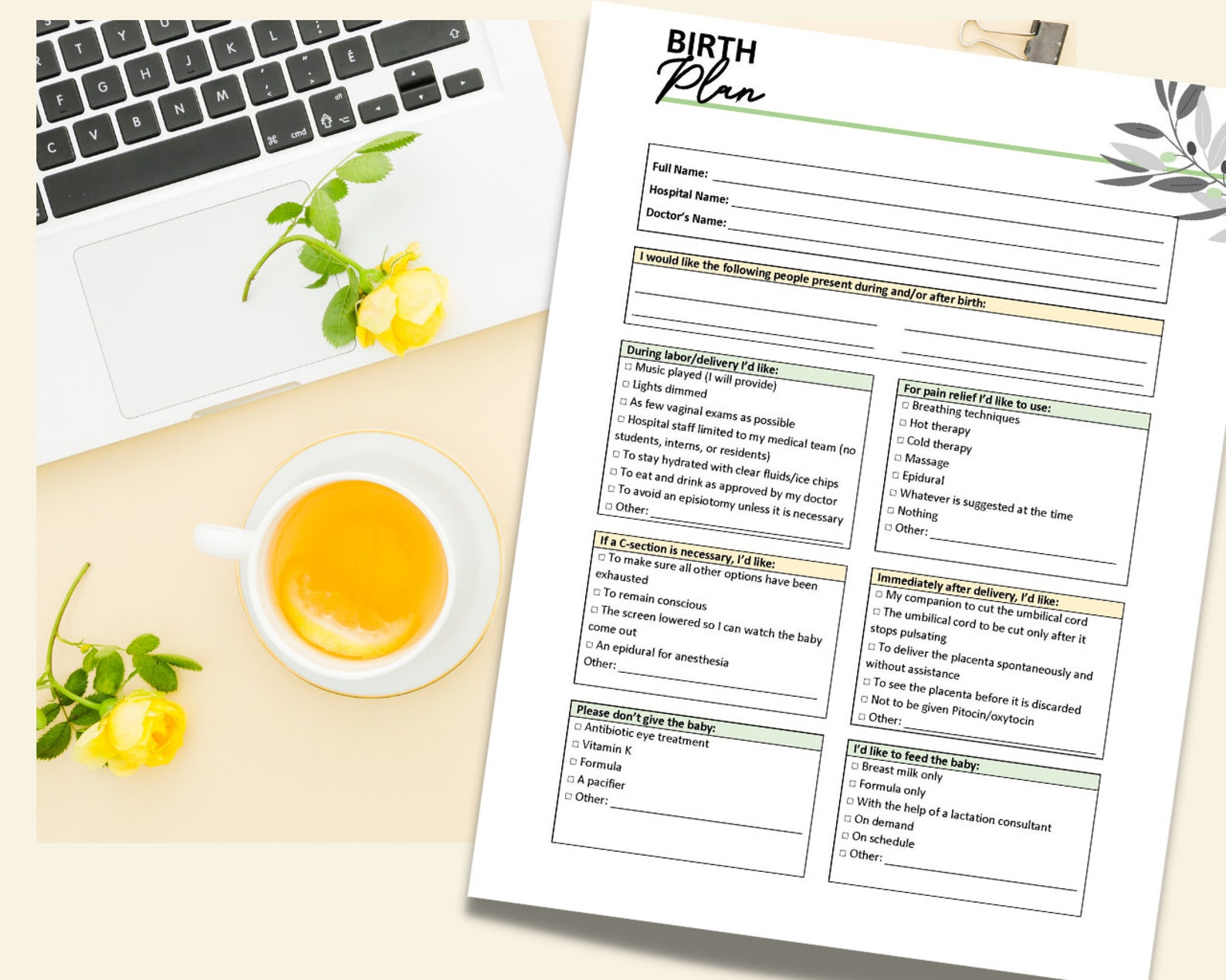 Printable Birth Plan Template Instant Download to Customize - Etsy