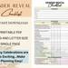 Printable Editable Gender Reveal Planning Template Checklist - Etsy