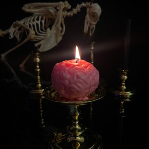 Anatomical Brain Candle, Creepy Gifts, Halloween, Med Student Gift ...
