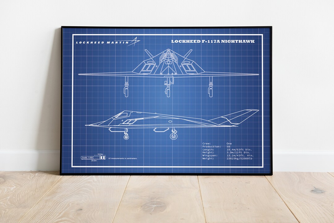 Plane Wall Art, Nighthawk Plane Art, Plane Gift, Plane Poster, Gift for ...