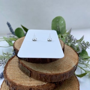 Farm Animal Wood Stud Earrings, FFA Earrings, 4H Jewelry, Show Pig ...