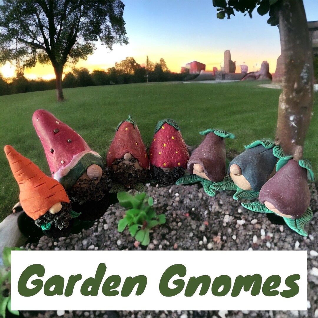 Custom Garden Gnomes - Etsy