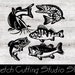 Fishing Svg Bundle, Fishing Svg, Different Fish Svg, Seafood and Fish ...