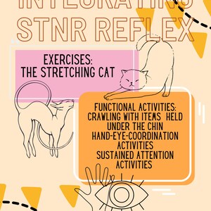 Visual Handout for Practioners Utilizing Primitive Reflexes in ...