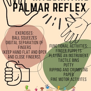 Visual Handout for Practioners Utilizing Primitive Reflexes in ...
