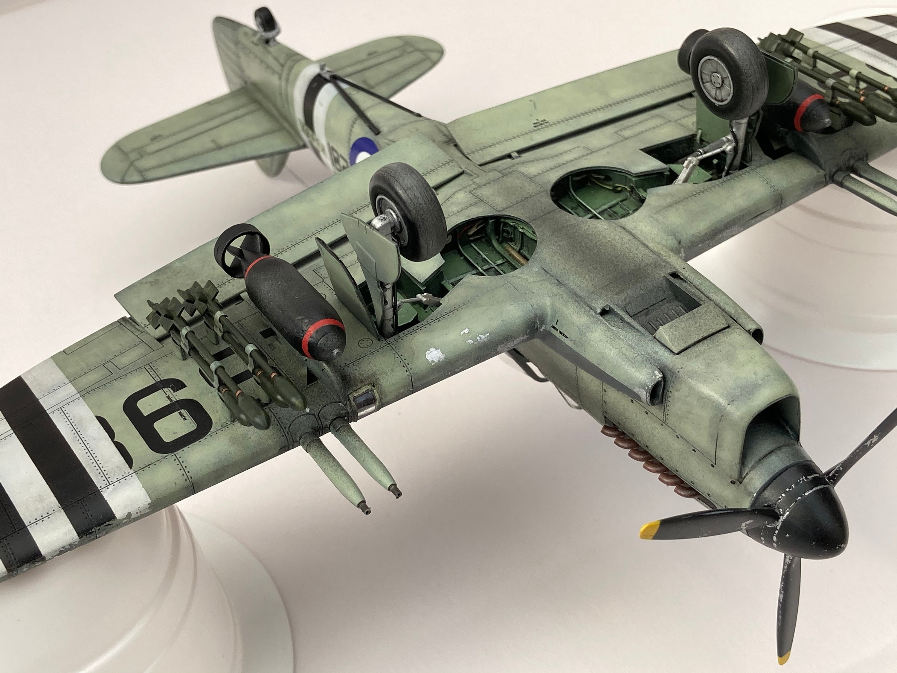1:48 Scale Fairy Firefly Mk1, Scale Model Professionally Built to Order ...