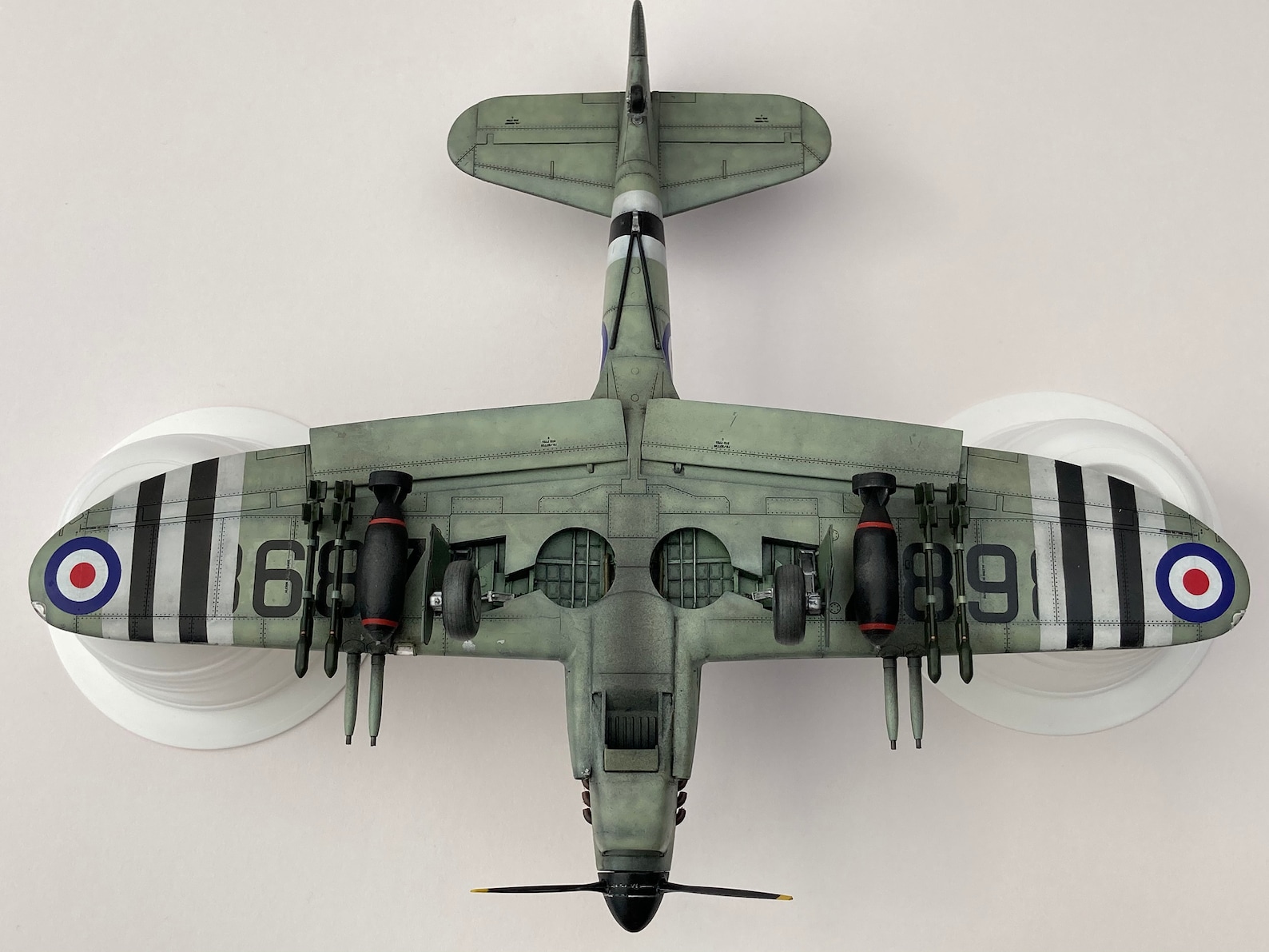 1:48 Scale Fairy Firefly Mk1, Scale Model Professionally Built to Order ...