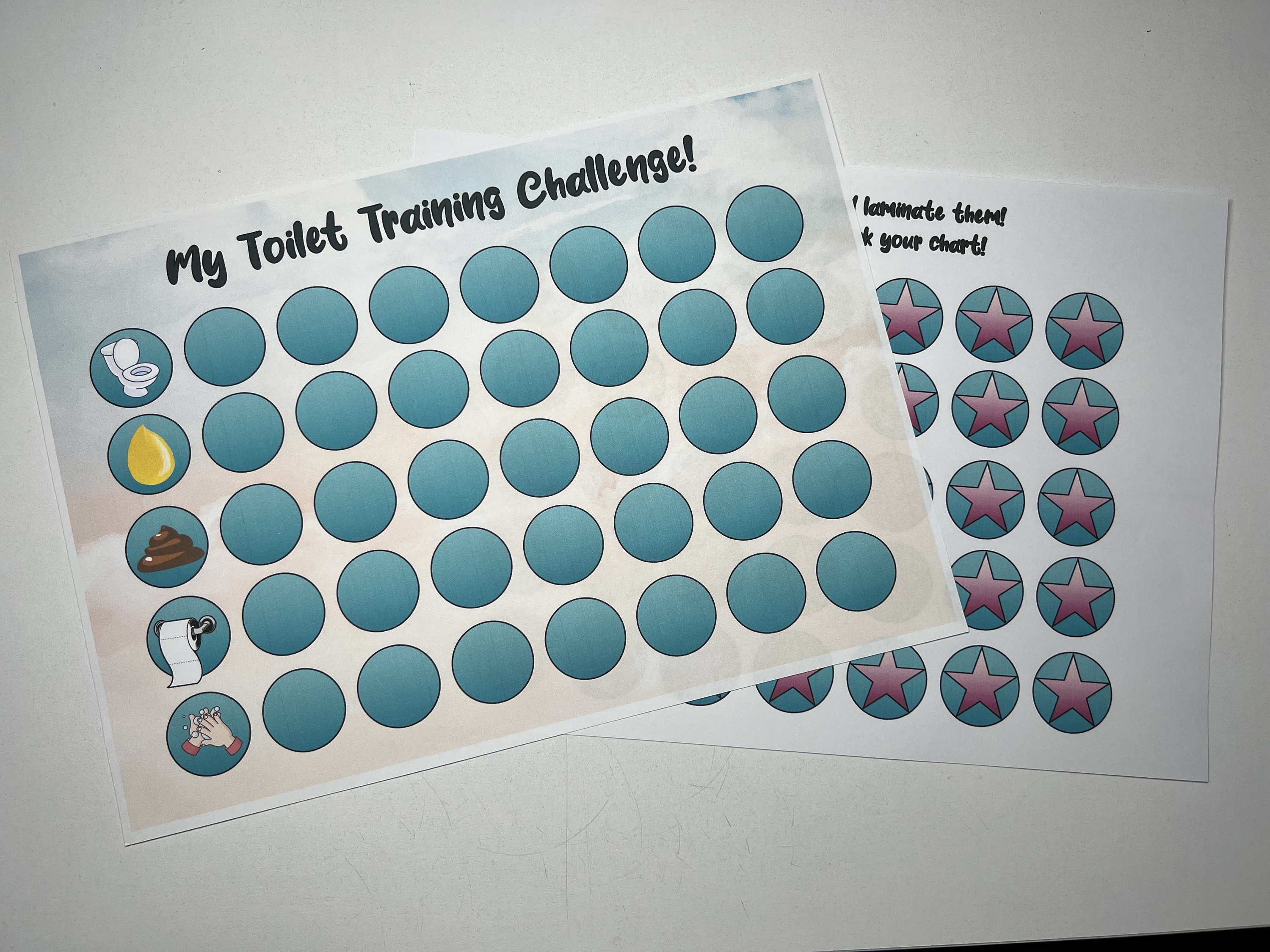 Toilet Training Challenge Chart Teal Kids Toddlers - Etsy