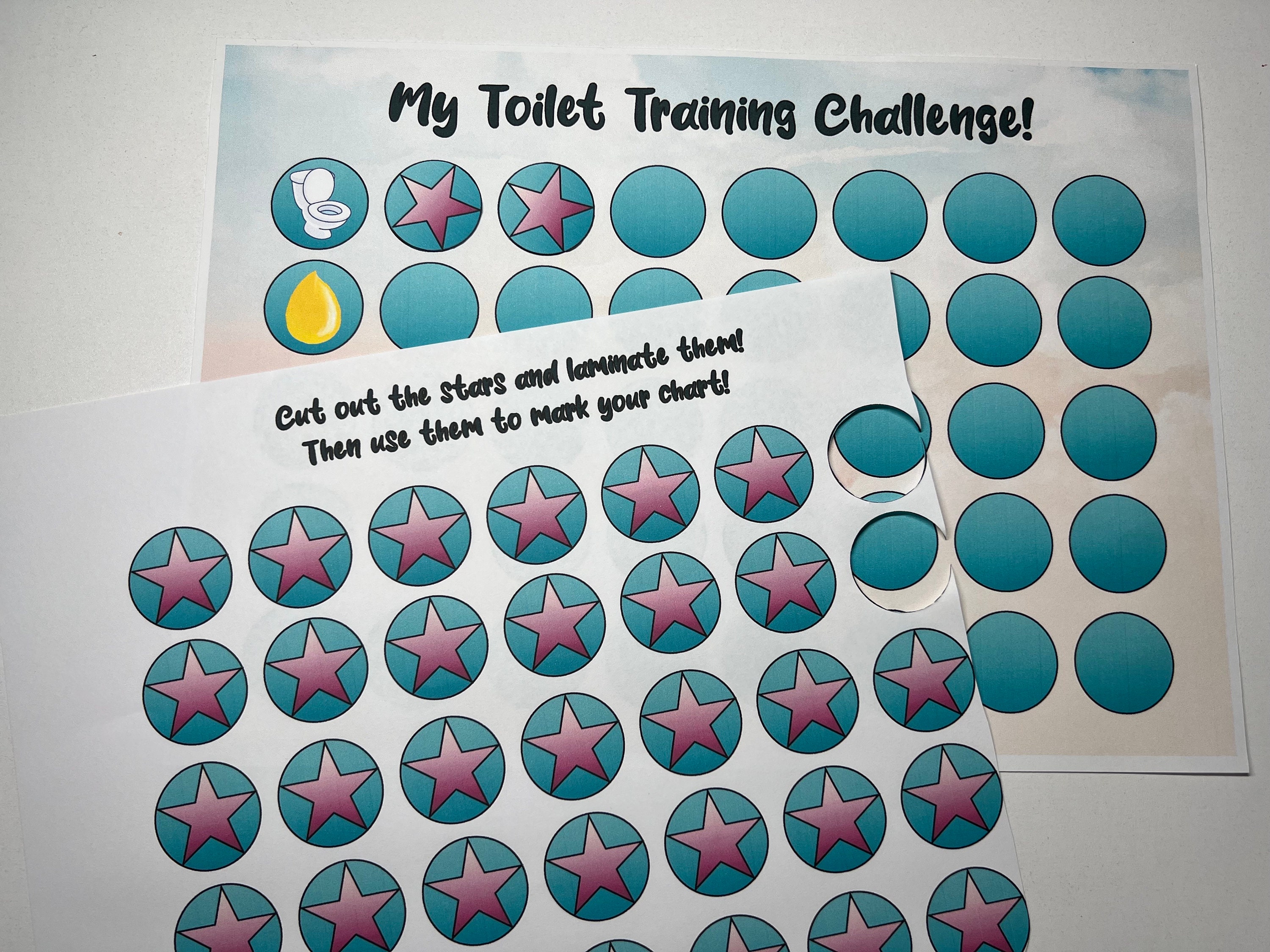 Toilet Training Challenge Chart Teal Kids Toddlers - Etsy