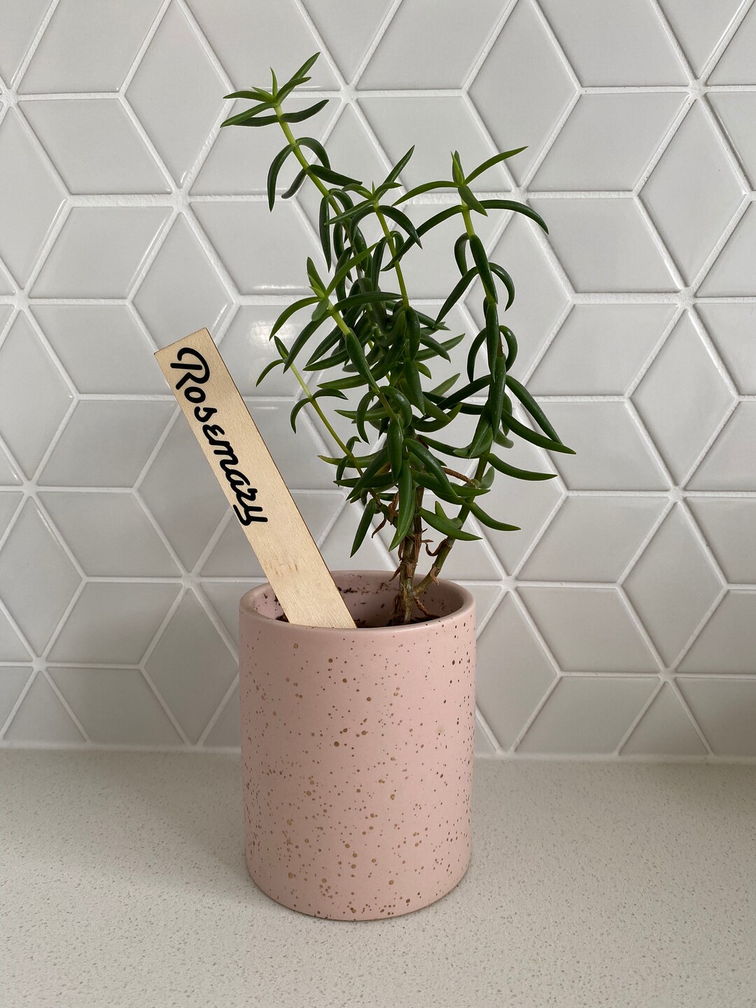 Custom Herb Garden Mini Stake – Personalised Plant Label – Garden ...