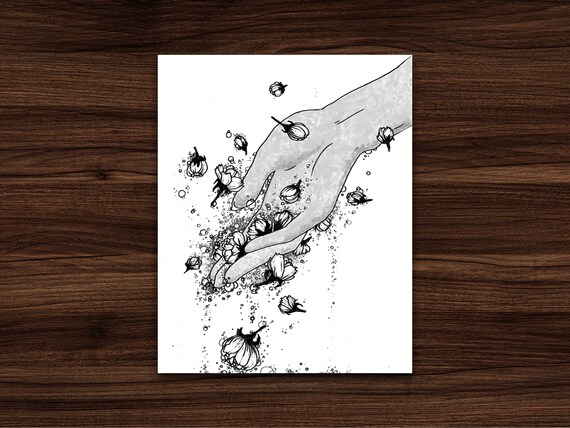 Water Drop On Flower Drawing