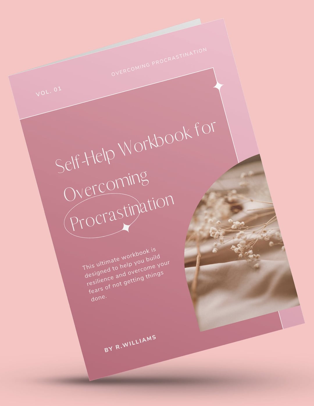 Stop Procrastination Self-help Workbook | Emotional Health (PDF ...