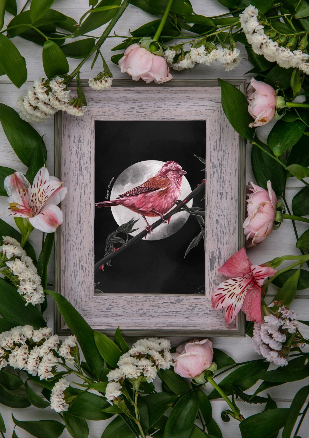 Dramatic Stunning Digital Painting Colour Popping Purple Finch Bird ...