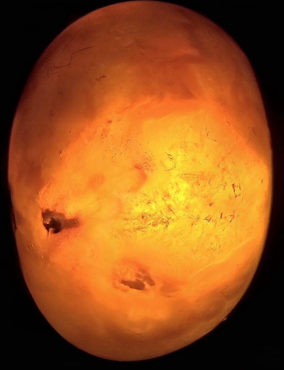 Queen of the Nomads: Centaur Leader With 49 Clansman Spiritual ...