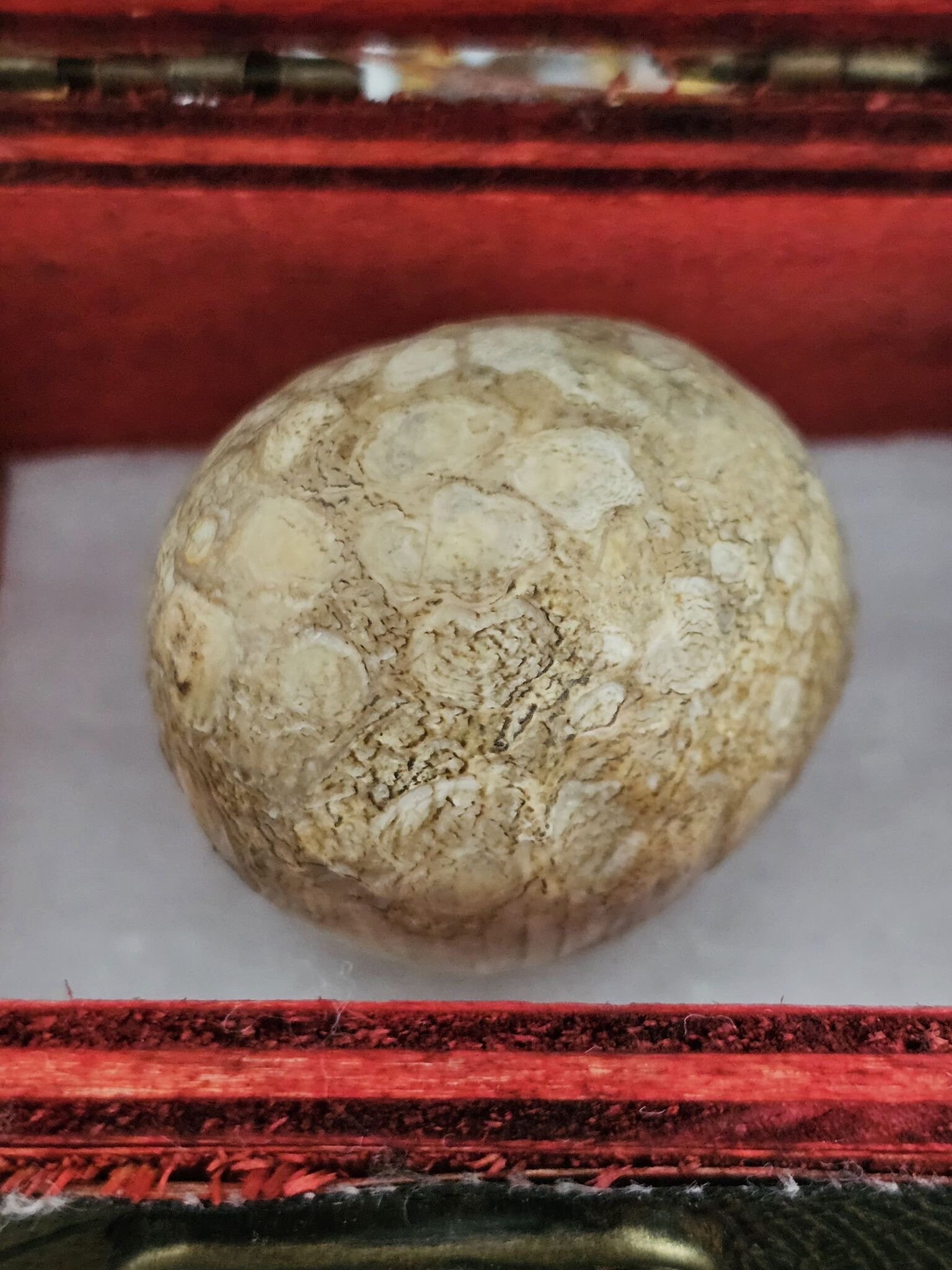 TWO RARE RELICS - Angelic Queen Crocodile Guardian With 7 Warrior ...