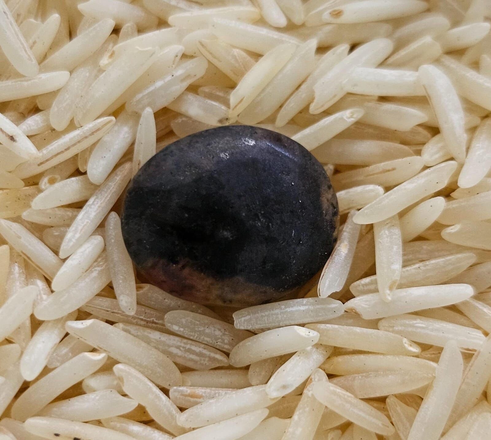 Queen Mermaid With Her Kingdom of 19,000 Soldiers: Wealth Fetching ...