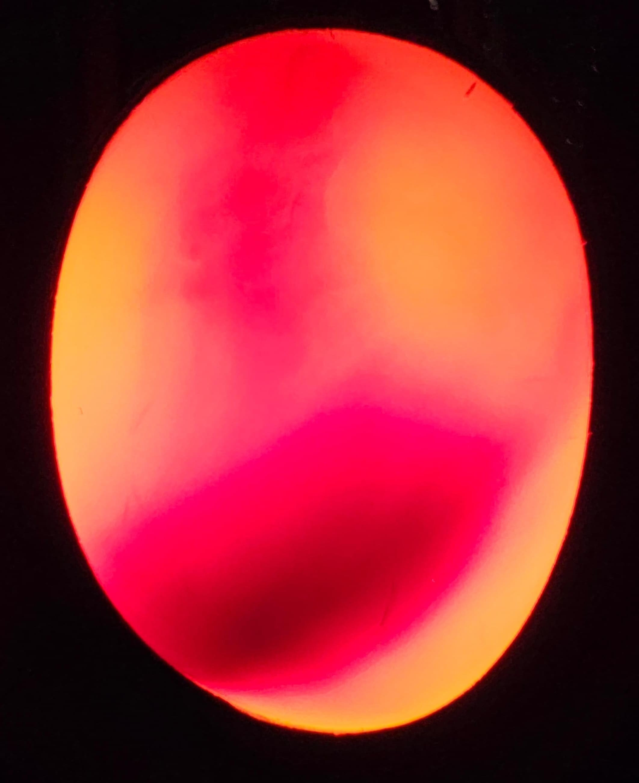 The Scholar, the Saint, the Seer, and A Servant of God: for Spiritual ...