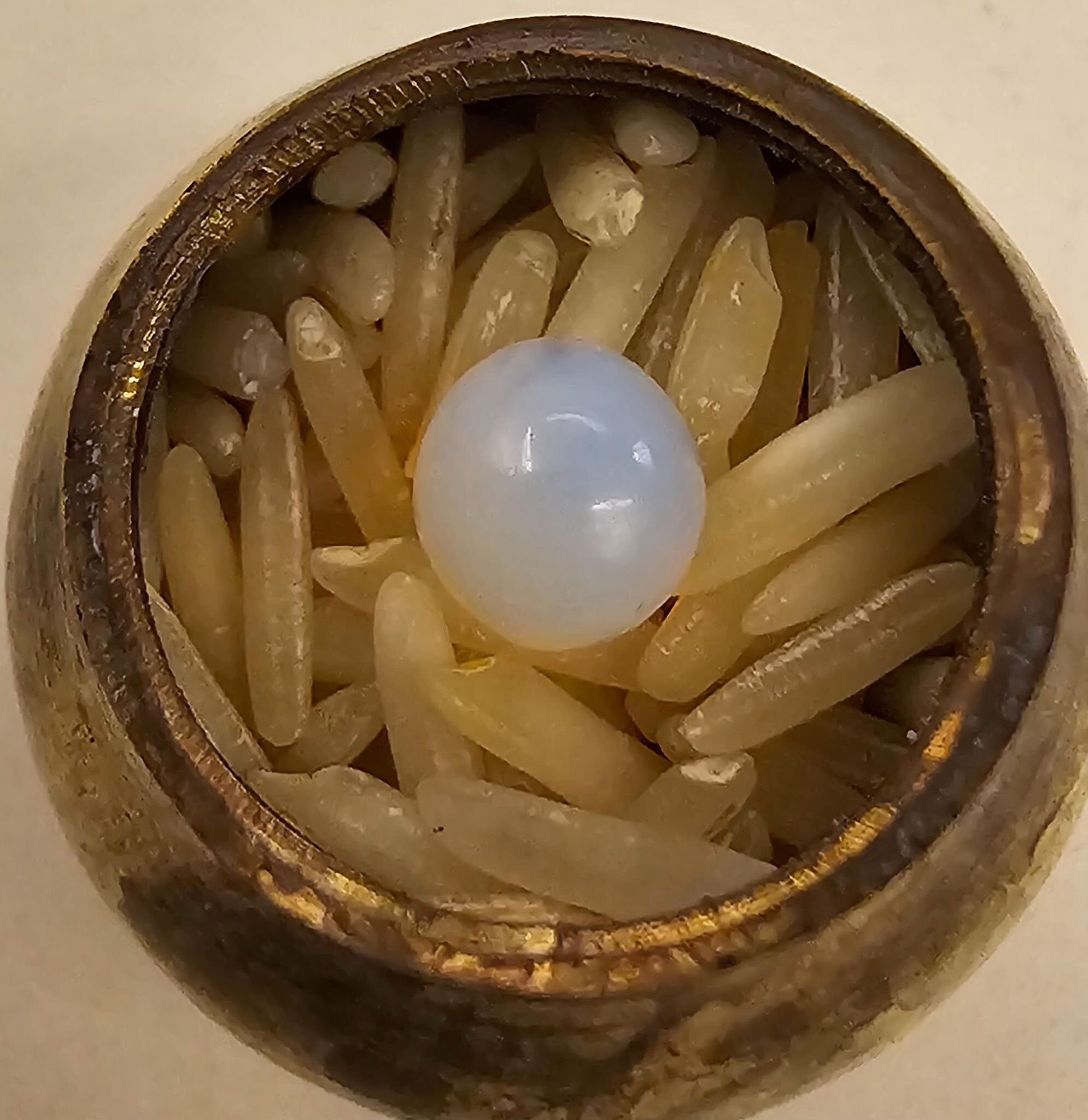 Angelic White Centipede Queen and Her Kingdom of 20,000 Helpers ...