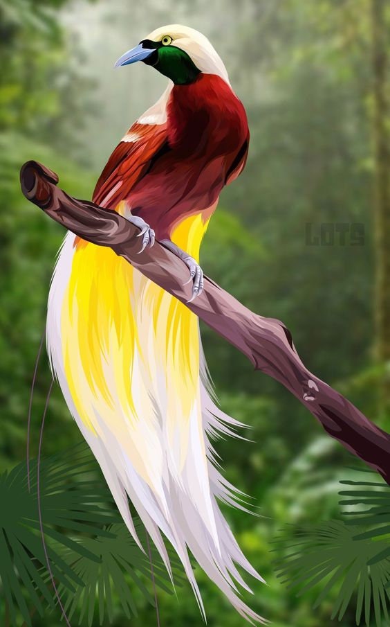 RARE Islamic Saint With 2 Angelic Birds of Paradise for Spiritual and ...