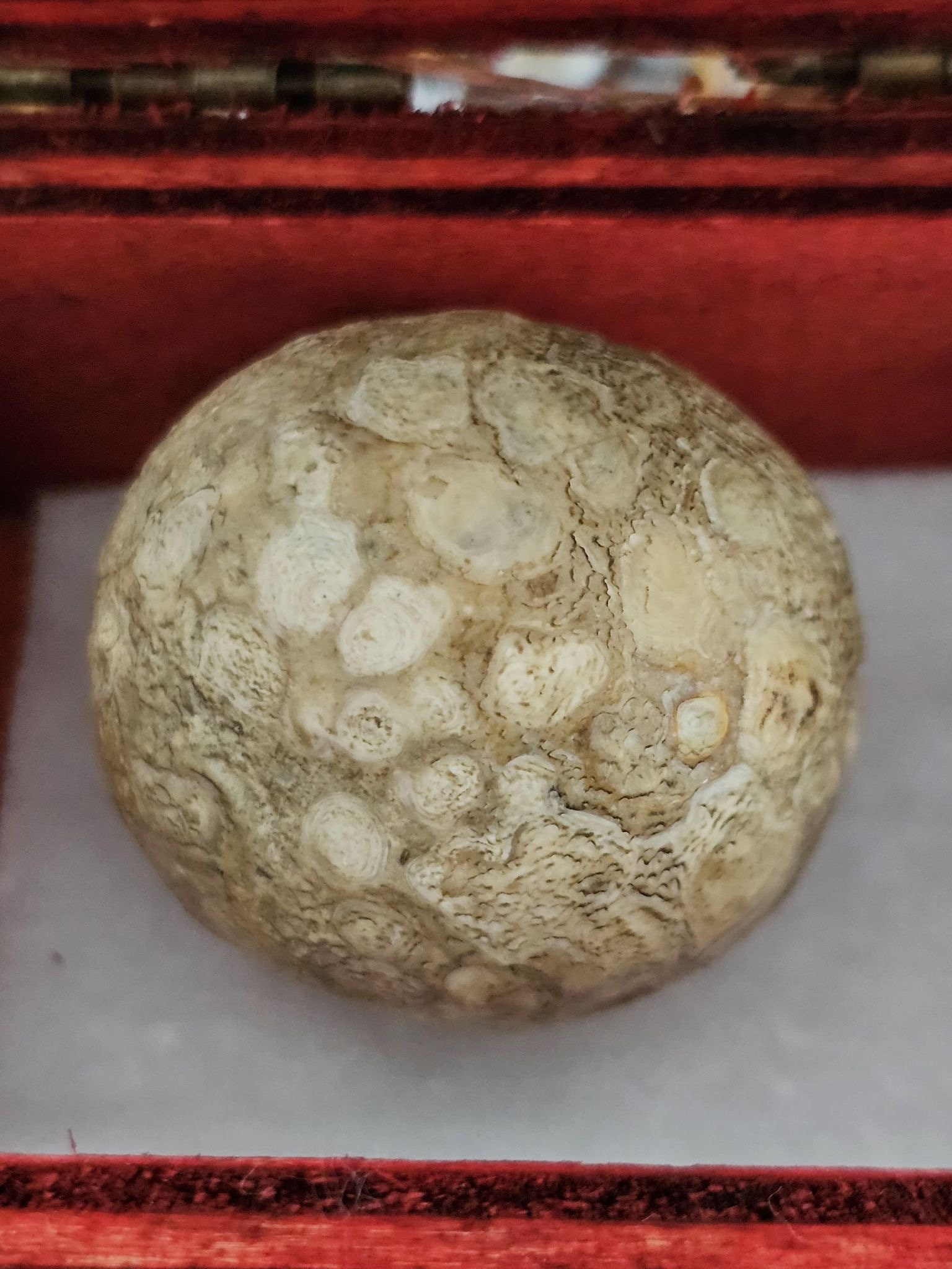 TWO RARE RELICS - Angelic Queen Crocodile Guardian With 7 Warrior ...