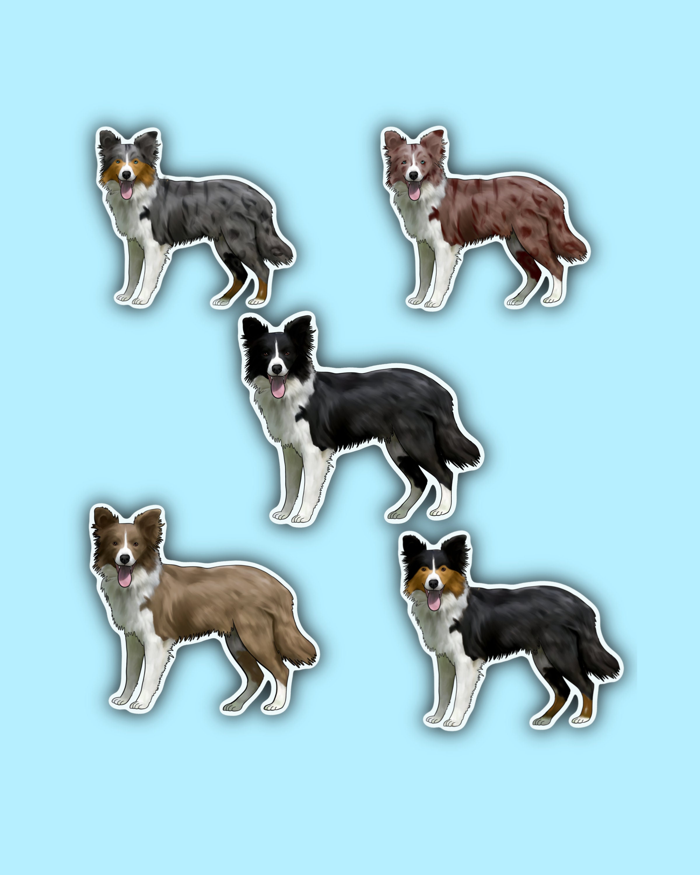 Border Collie Sticker Gift for Border Collie Owner Border - Etsy