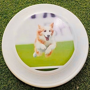 Custom Pet Disc Golf- Pet Toy, Dog Training Flying Disc, Racing Disc ...