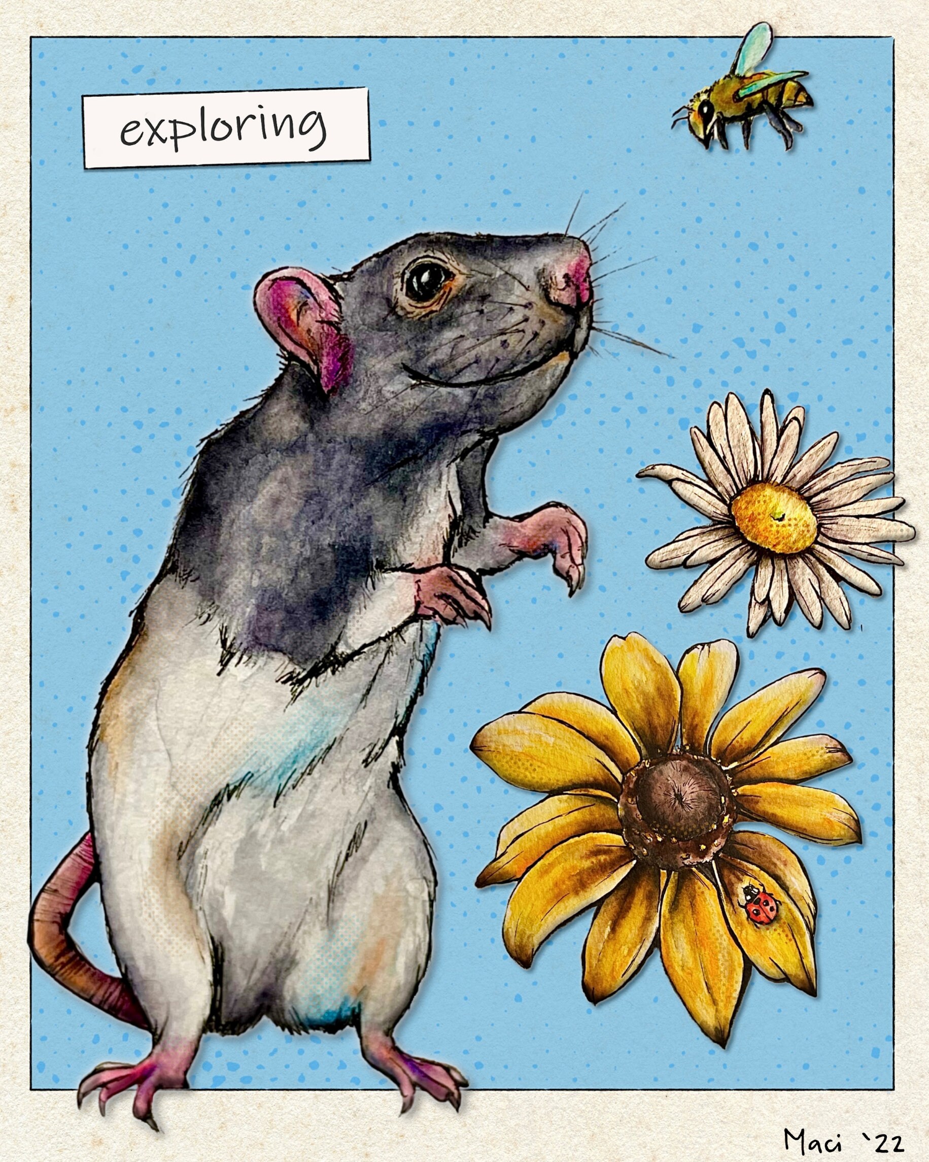 RAT COMIC ART / 8"x10" Art Prints / Set of 3 / Gift for Animal Lover - Etsy