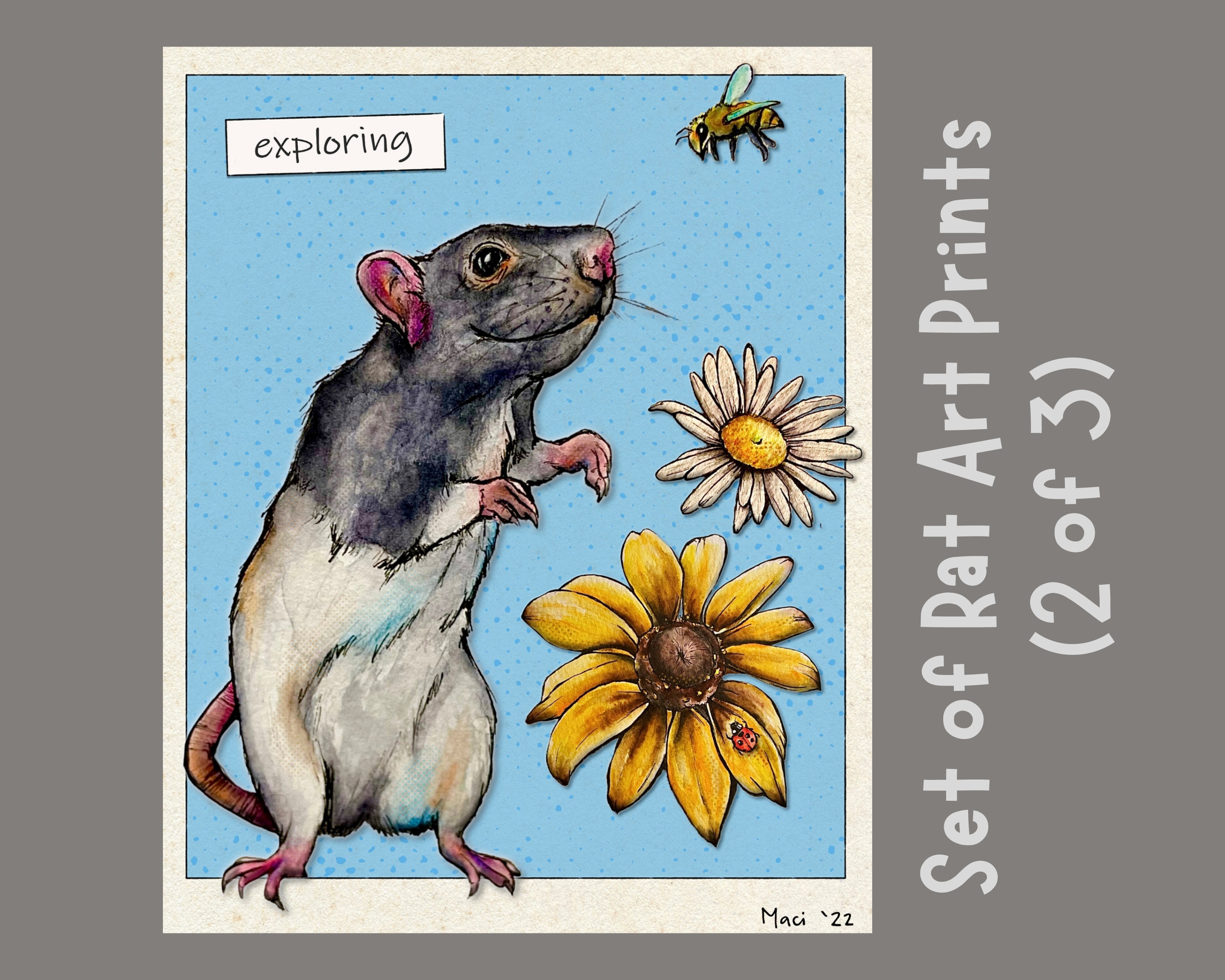 RAT COMIC ART / 8"x10" Art Prints / Set of 3 / Gift for Animal Lover - Etsy