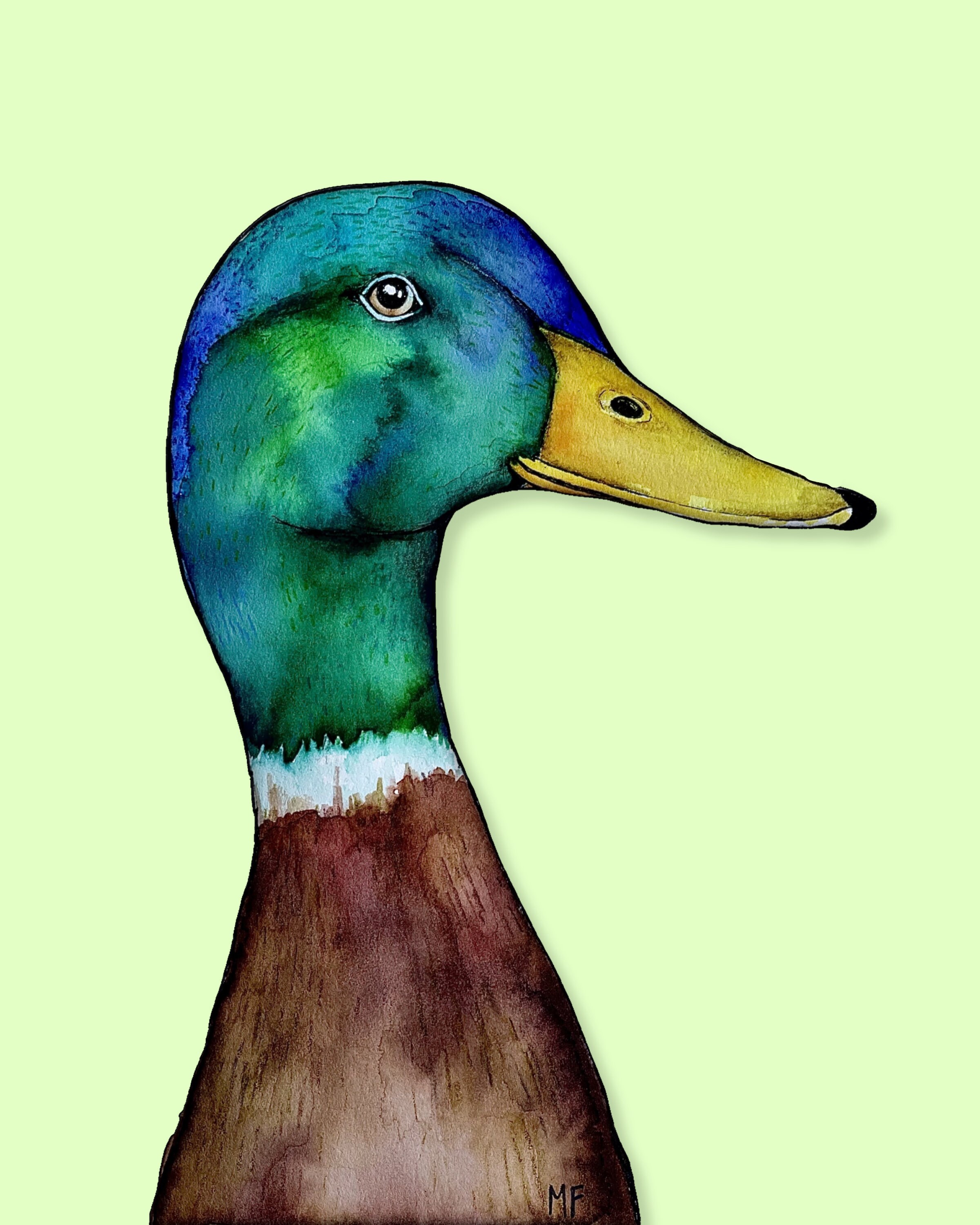 MALLARD DUCK Print/nursery Art/gallery Wall Prints/gift for Animal ...
