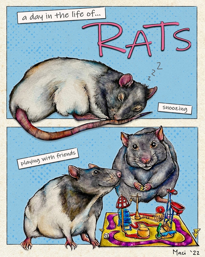 RAT COMIC ART / 8"x10" Art Prints / Set of 3 / Gift for Animal Lover - Etsy