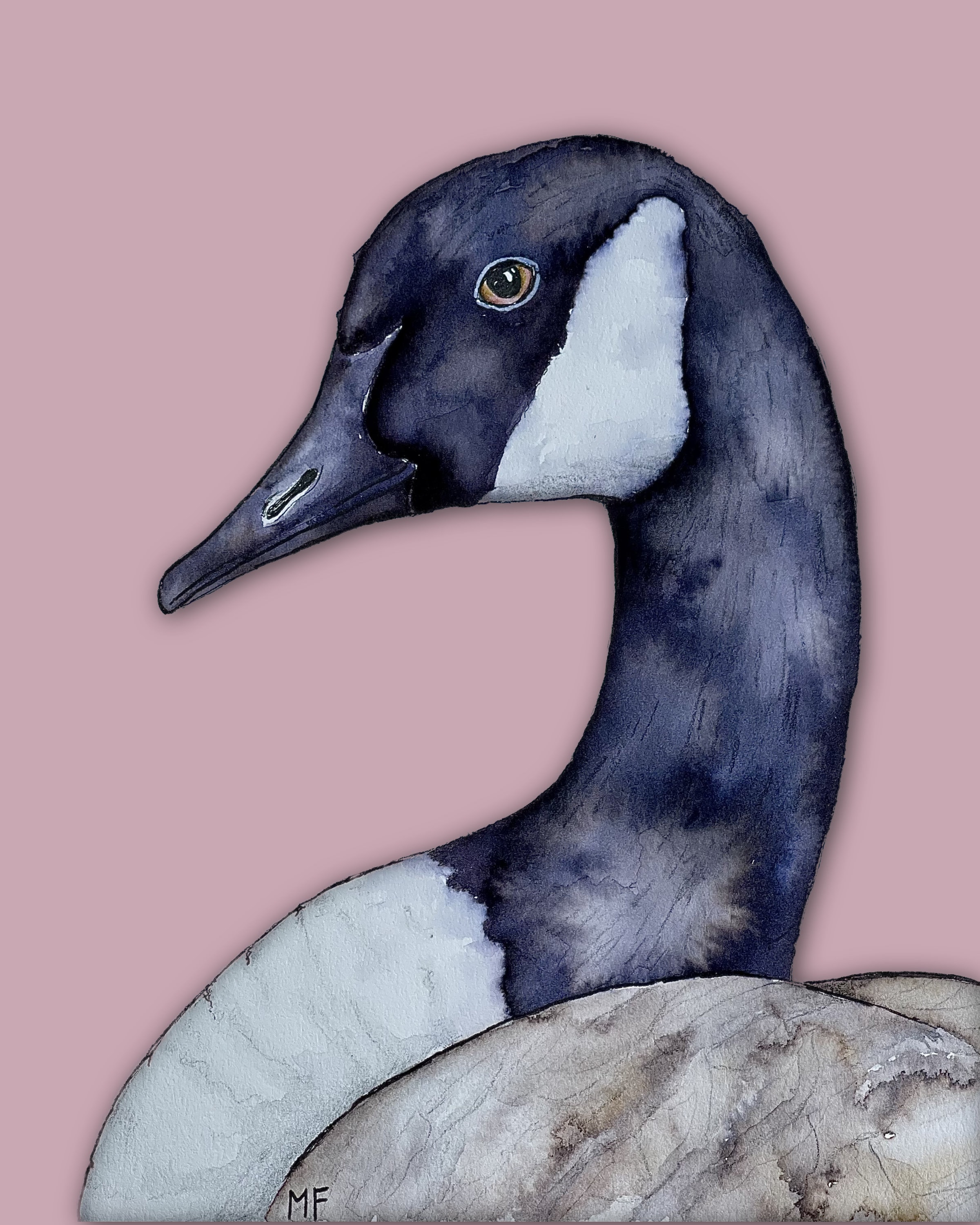 GOOSE ART Print/nursery Art/canadian Goose/gallery Wall Prints/gift for ...
