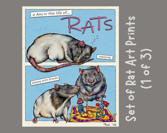 RAT COMIC ART / 8x10 Art Prints / Set of 3 / Gift - Etsy