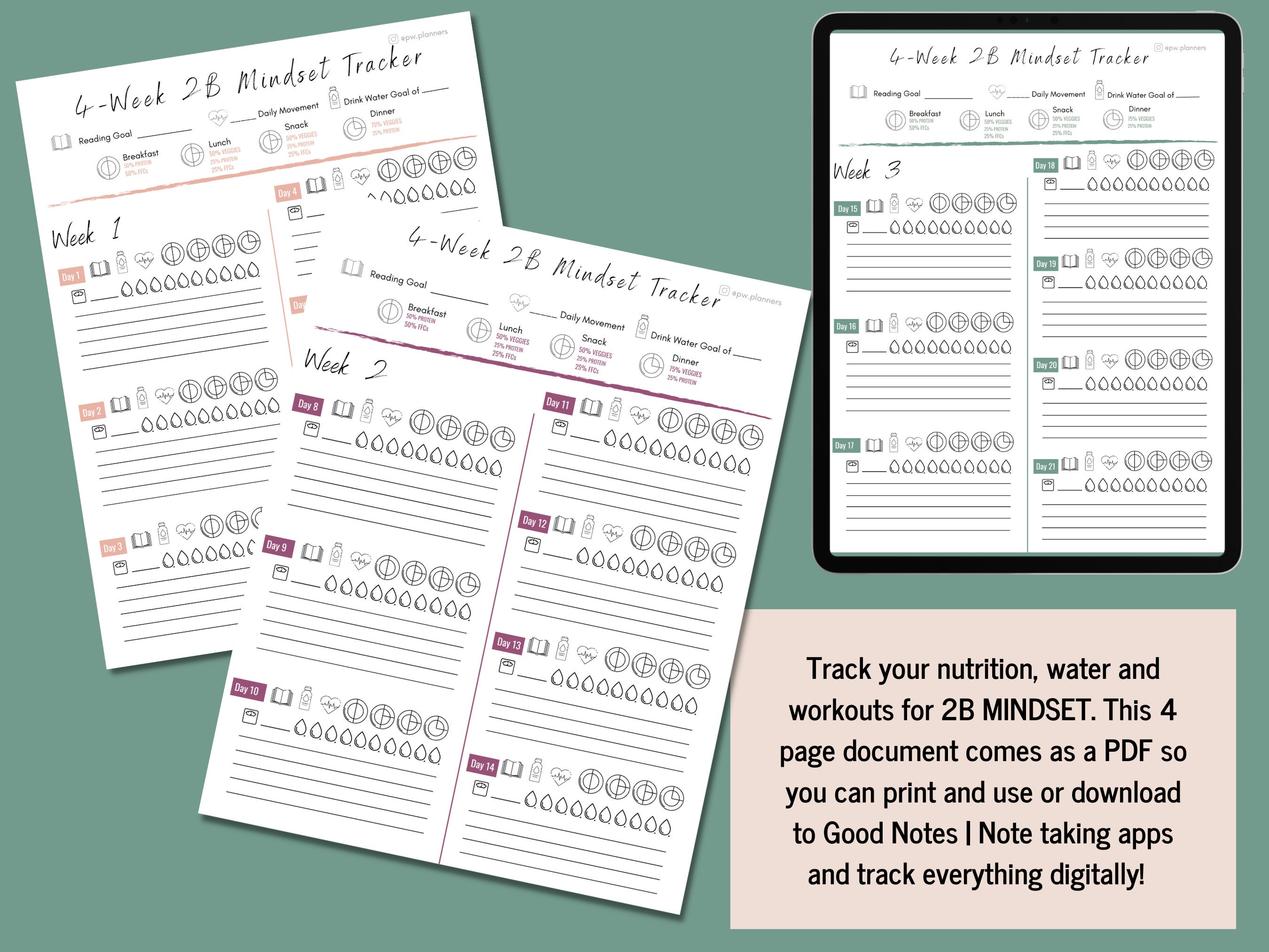 2B Mindset 4-week Wellness Tracker - Etsy