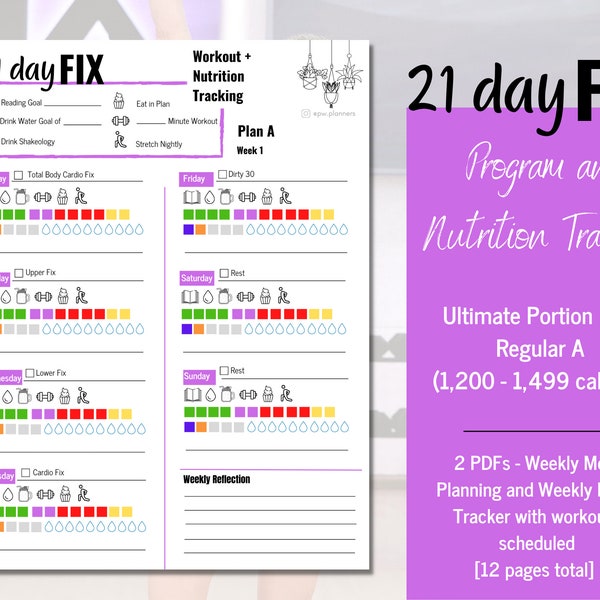 21 Day Fix Tracker - Etsy