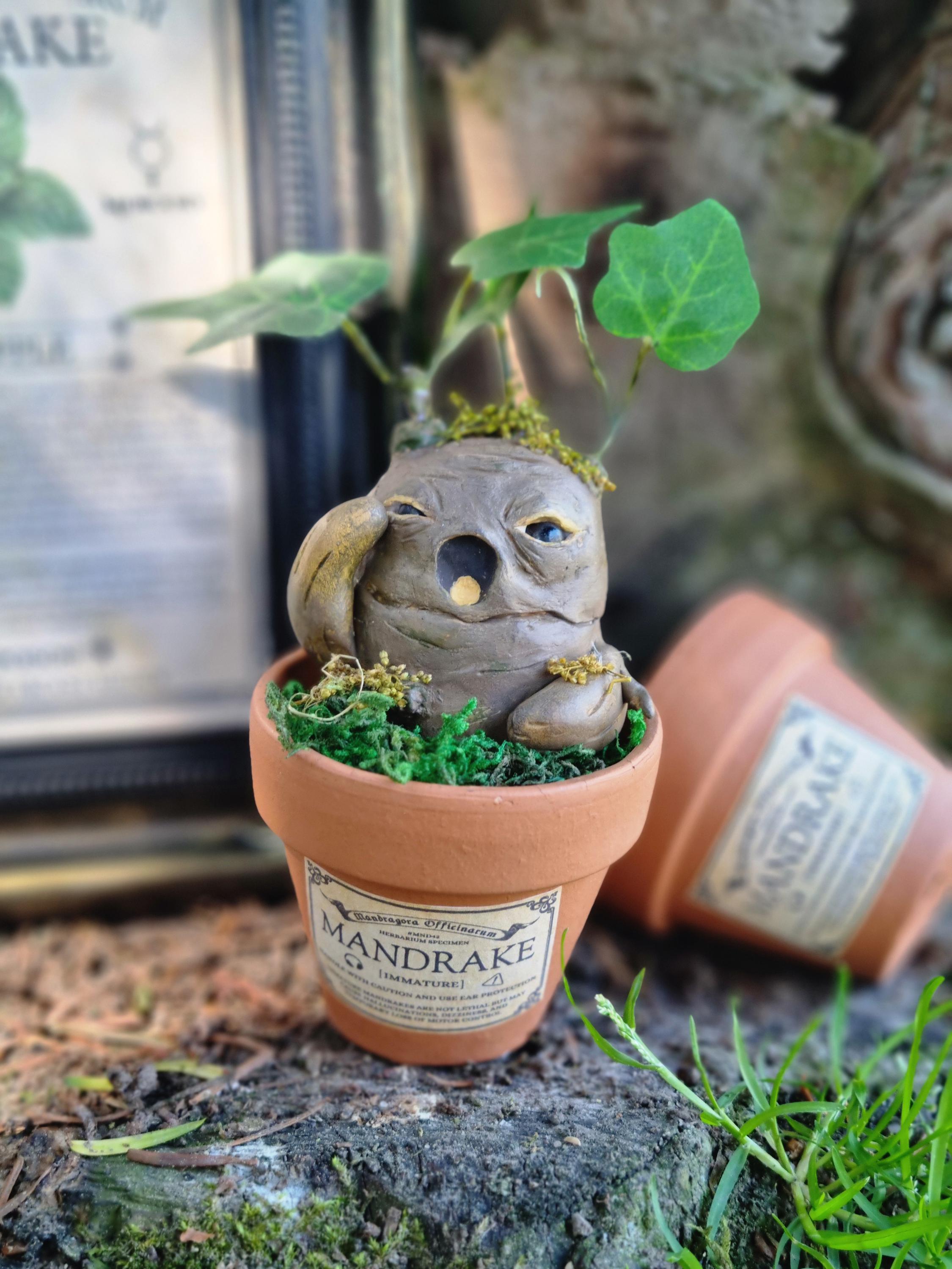 Mandrake Props
