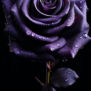 Purple Rose Phone Wallpaper - Digitally Created Art - Instant Download ...