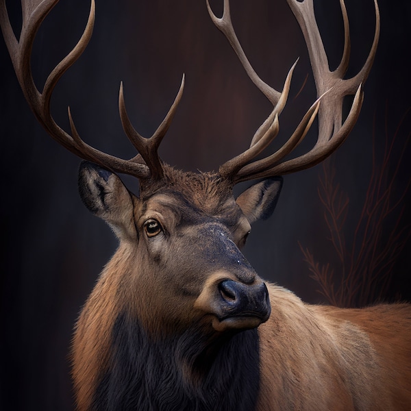 Elk Poster - Etsy