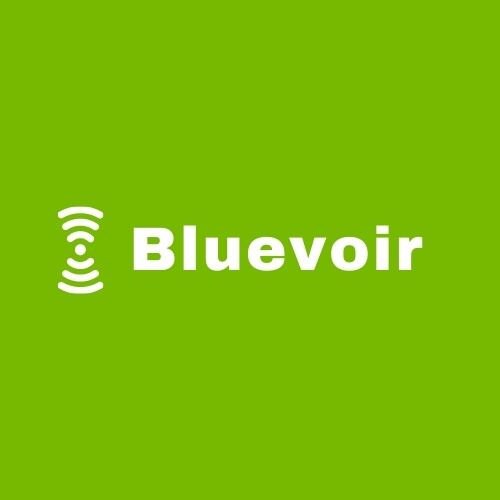 Bluevoir - Etsy